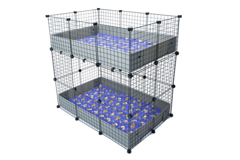2x3 Stacking Modular Grid Guinea Pig Cage - C and C Guinea Pig Cages