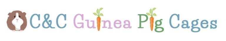 How Do I Properly Pick Up and Hold a Guinea Pig? - C and C Guinea Pig Cages