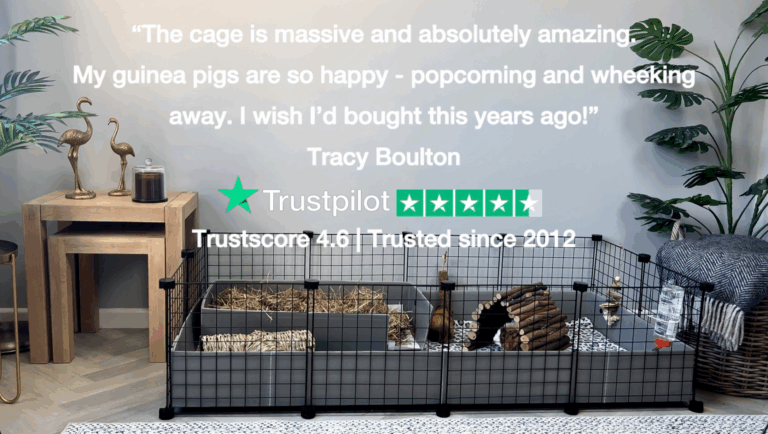 2x3 Grid C&C Guinea Pig Cage - C and C Guinea Pig Cages