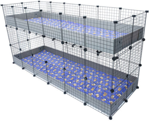C&C Guinea Pig Cages - Home - c and c guinea pig cages